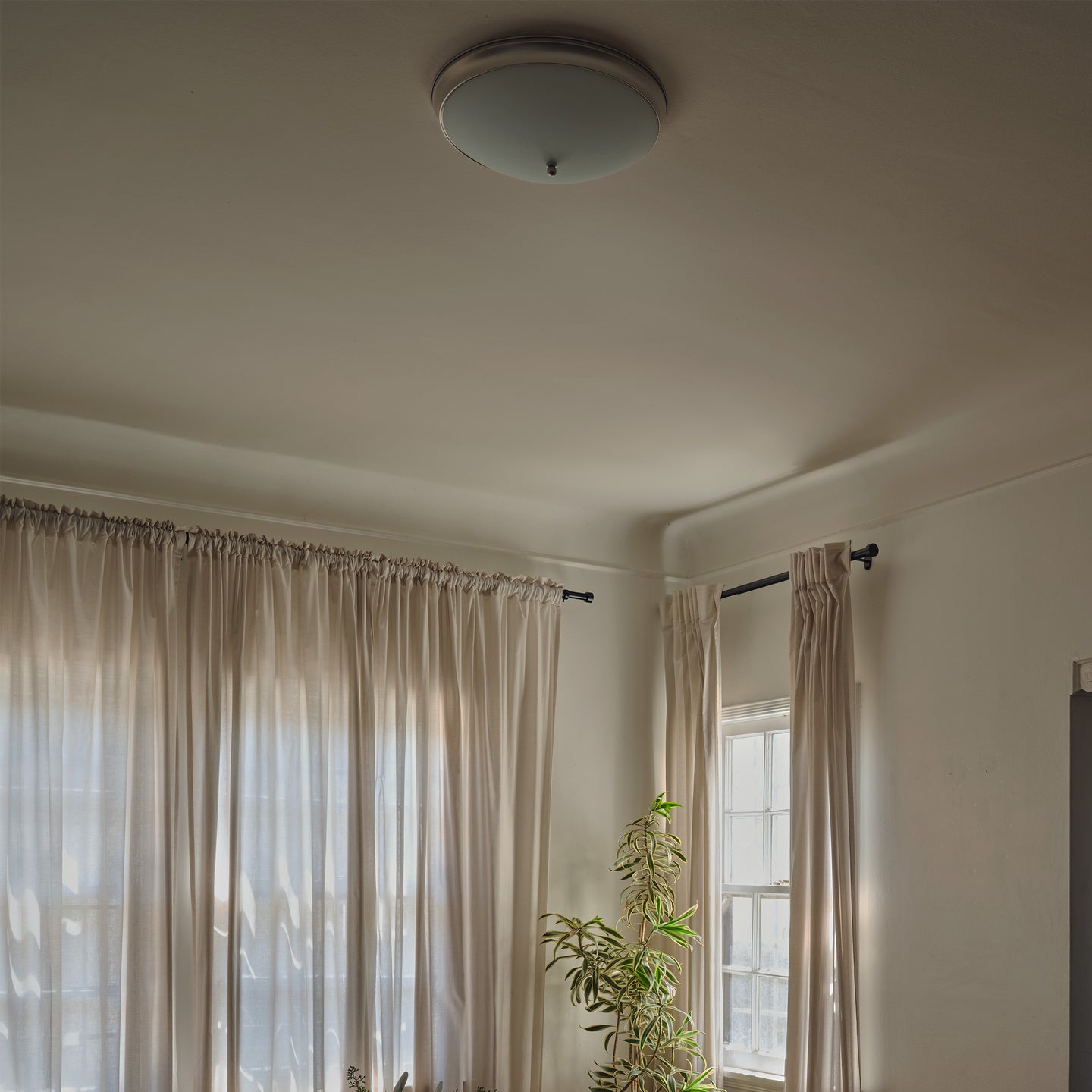 Tulip Shades | Ceiling light covers | Light bulb covers