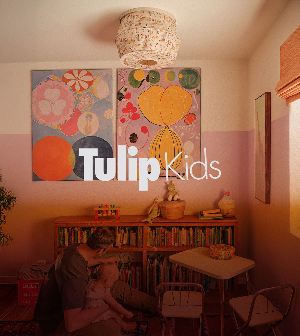 Tulip Shades | Ceiling light covers | Light bulb covers